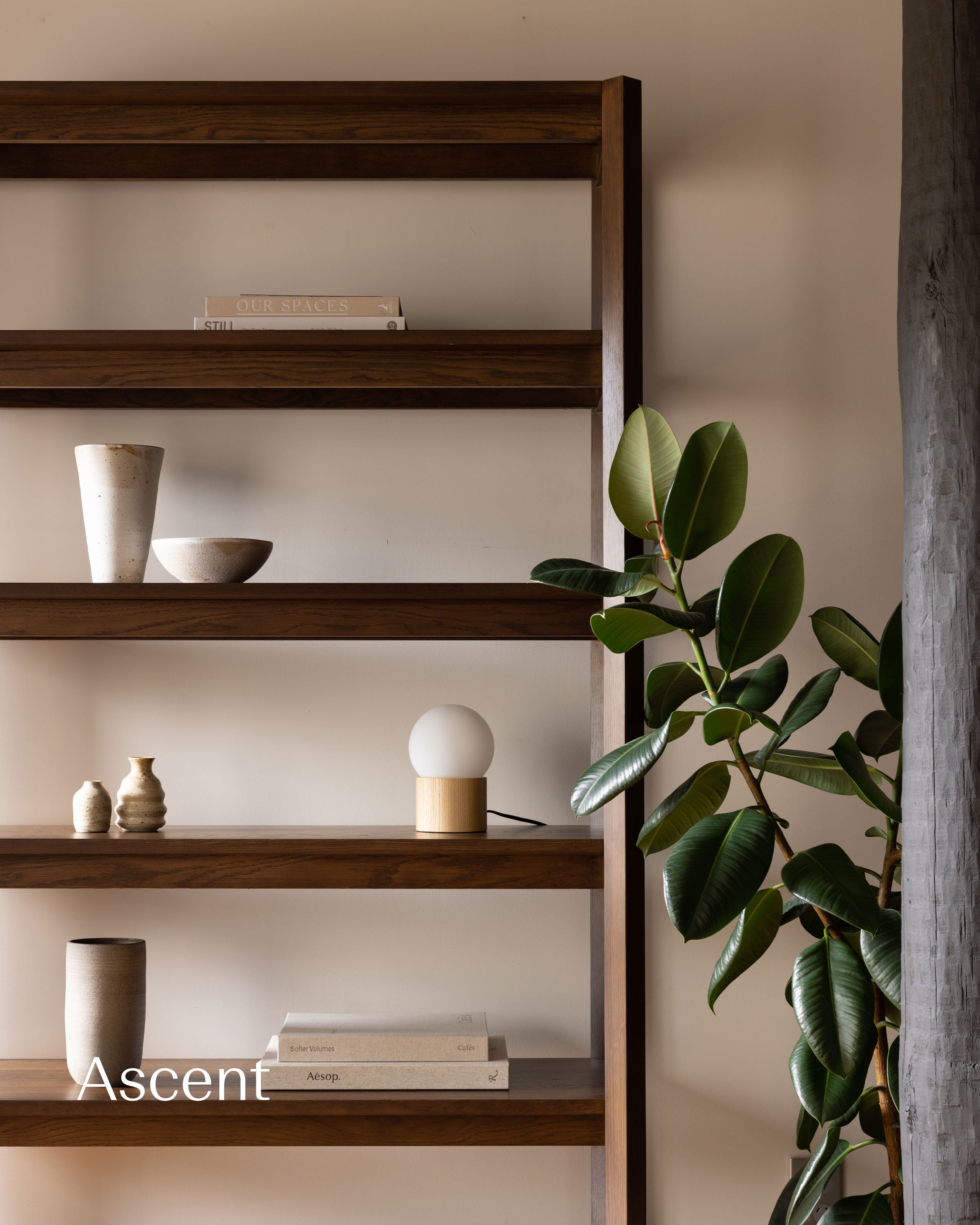 Ascent Shelving Collection - NZ Made l Woodwrights